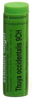 SCHMIDT-NAGEL thuya occidentalis glob 9 CH 1 g | Pharmacie Coop Vitality