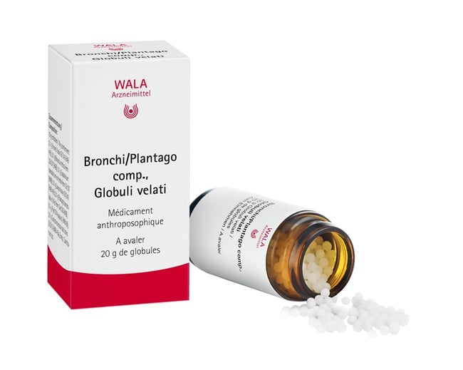 WALA Bronchi/Plantago comp. Glob Fl 20 g | Coop Vitality Apotheke